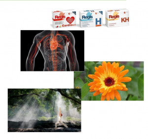 Método Regis - Regis Global